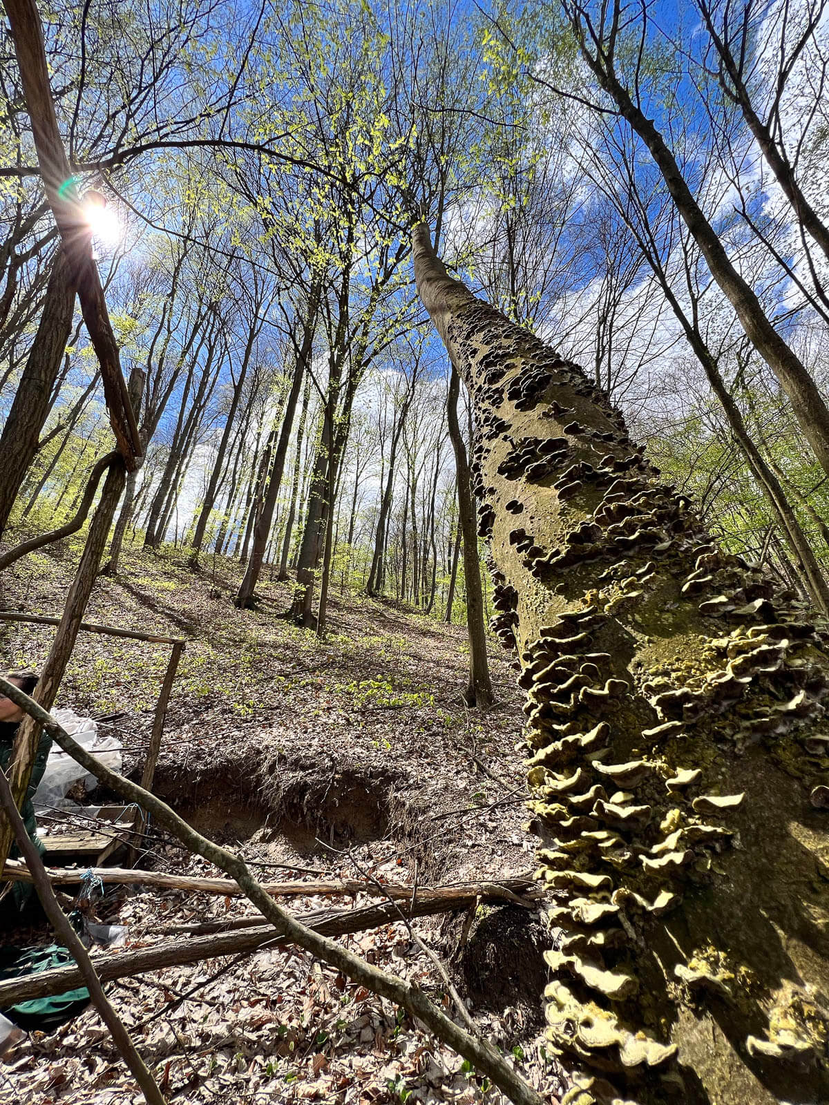 Planina Bukulja - Vidi Arandjelovac