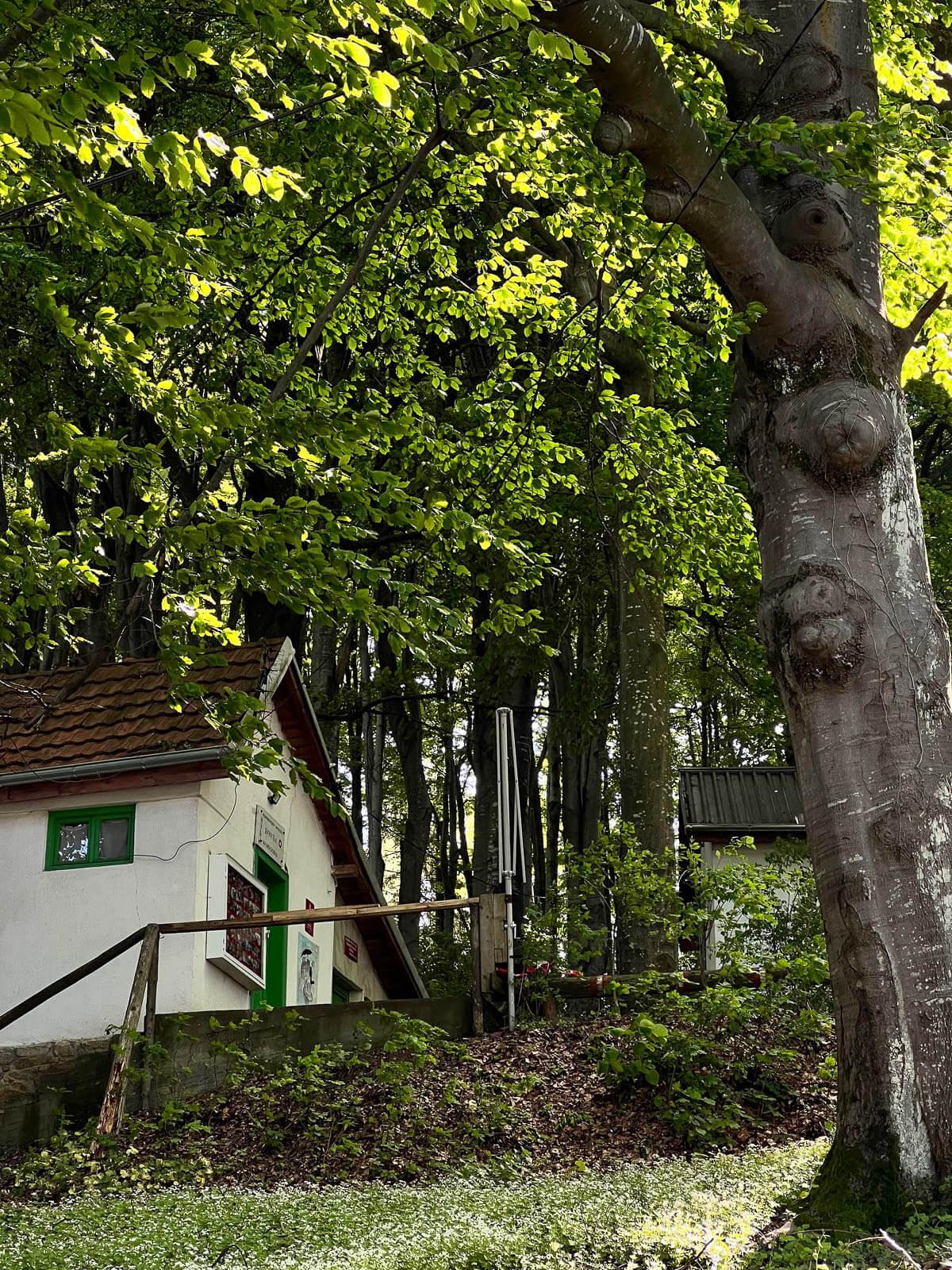 Planina Bukulja - Vidi Arandjelovac