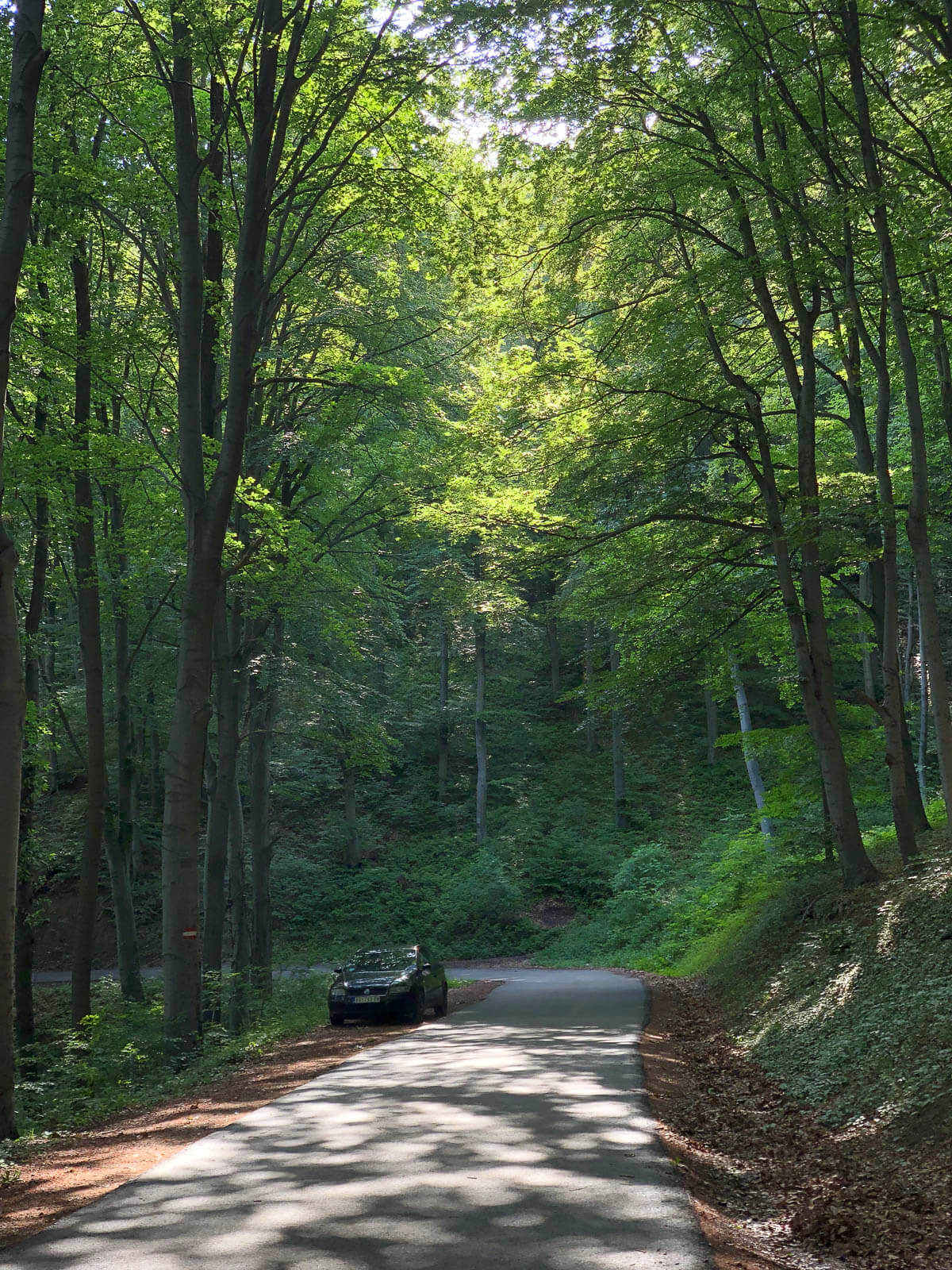 Planina Bukulja - Vidi Arandjelovac